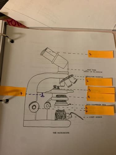 Micro Lab Practical Flashcards Quizlet