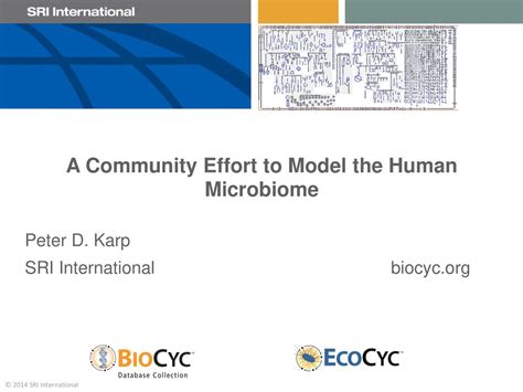 A Community Effort To Model The Human Microbiome Ppt Download