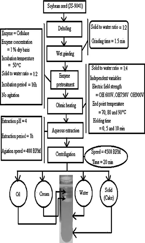 General Flowchart Of Enzyme Production Steps In Upstream Processing
