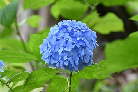マハナの趣味の部屋 定年後に始めたこと 定年後も続けたいこと