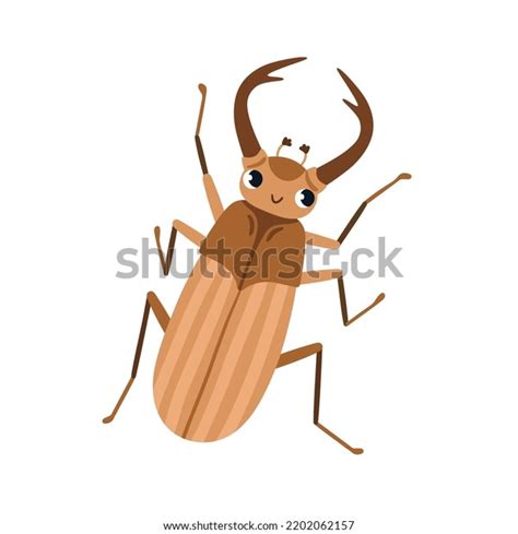 327 Cartoon June Bugs Royalty Free Photos And Stock Images Shutterstock