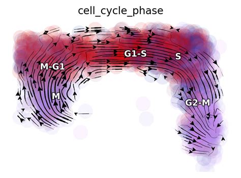 sceu seq cell cycle dynamo release