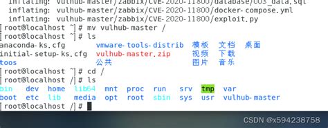 Cms漏洞复现 Csdn博客