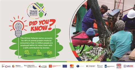 mohamed dahir posted on linkedin