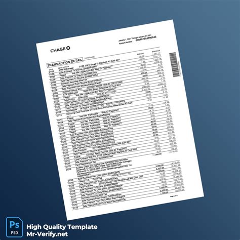France Chase Bank Statement Template Word Pdf