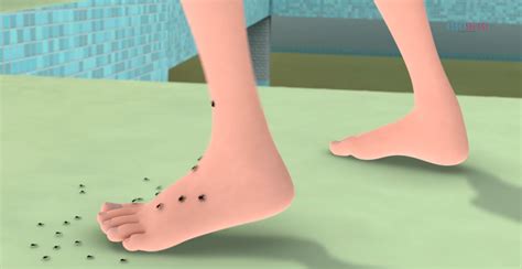 Anime Feet Marinette Dupain Cheng