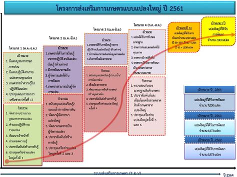 ระบบส่งเสริมการเกษตรแบบแปลงใหญ่ เรียนภาษาไทย กับครูบอม เจษฎา หน้า