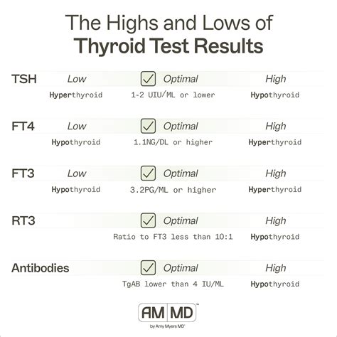 A Clear Guide To Understanding And Interpreting Your Thyroid Test