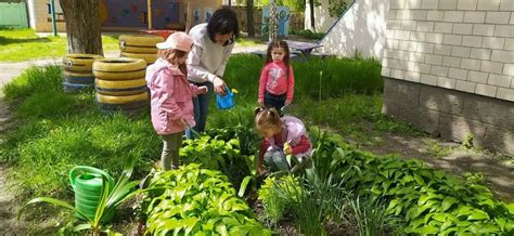 У Решетилівському ЗДО «Ромашка проводять озеленення території Решетилівщина Ua