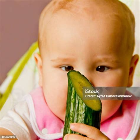 녹색 오이를 들고 행복 한 어린 소녀 어린이를 위한 건강 한 먹는 야채의 개념 가을에 대한 스톡 사진 및 기타 이미지 가을 건강한 생활방식 건강한 식생활 Istock
