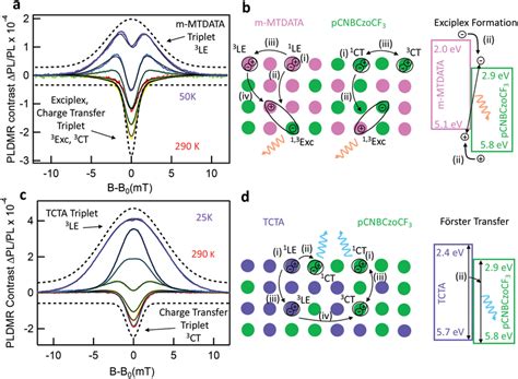Magnetic Resonance And Exciton Localization Temperature Dependent