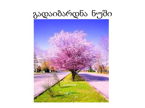 Nato Prezentacia Ppt