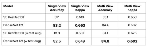 Github Akaragouxray Vision Detecting Abnormalities In X Rays