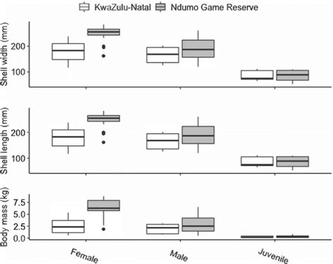 Comparison Of Morphometric Variables Of Females Males And Juveniles P