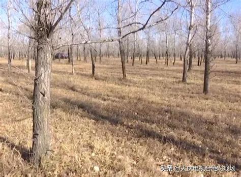 大庆市全面进入秋季森林草原高火险期