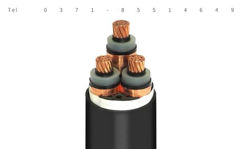 什么是 N2xsy 电缆 电力电缆屏蔽线控制电缆生产厂家 河南泉跃线缆有限公司