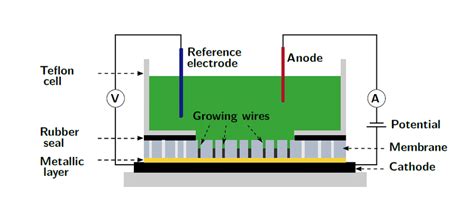 Schematic Illustration Of The Electrodeposition Cell Using The