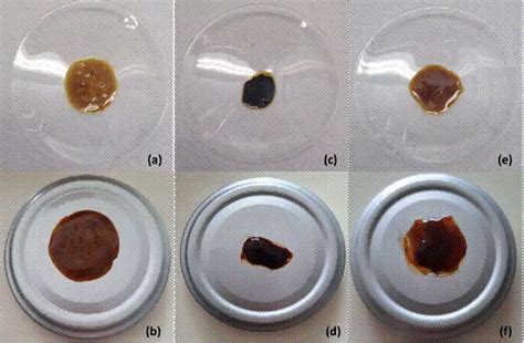 Propolis From Native Stingless Bees Ultrasound Assisted Extraction