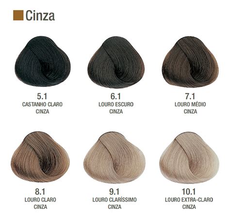 Tintura Evolution Of The Color Alfaparf Cores Cinza Mercado Livre