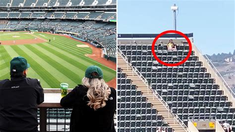 Mlb 2022 Police Launch Investigation Into Couples Lewd Act Yahoo Sport