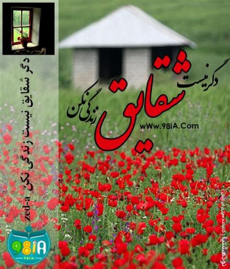 دگر شقایق نیست زندگی نکن By زکیه اکبری Goodreads