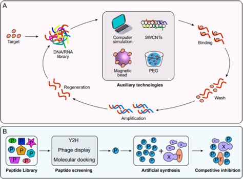 Main Research Directions Progress And Challenges Of Nucleic Acid
