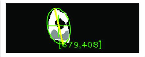 The Backprojection Of The Objects Histogram Model And Subsequent Download Scientific Diagram