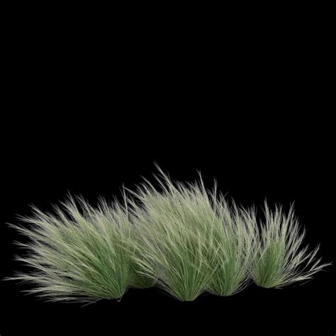 Page 8 40000 3d Wind Grass Pictures