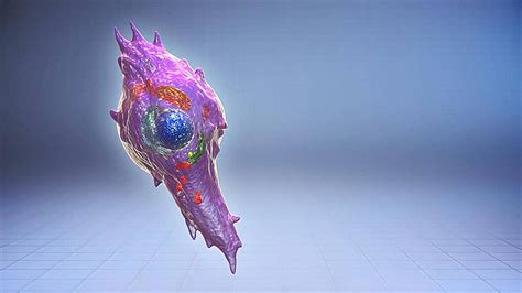 Extracellular Matrix Background Images Hd Pictures And Wallpaper For Free Download Pngtree