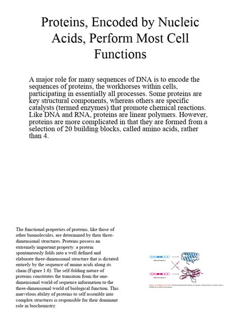 Unit 29 Biochem Protein Biosynthesis Pdf Translation Biology Dna