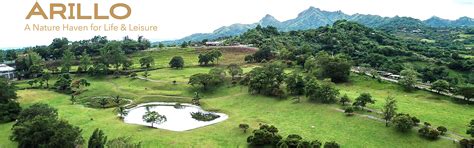 Arillo Ayala Land Properties