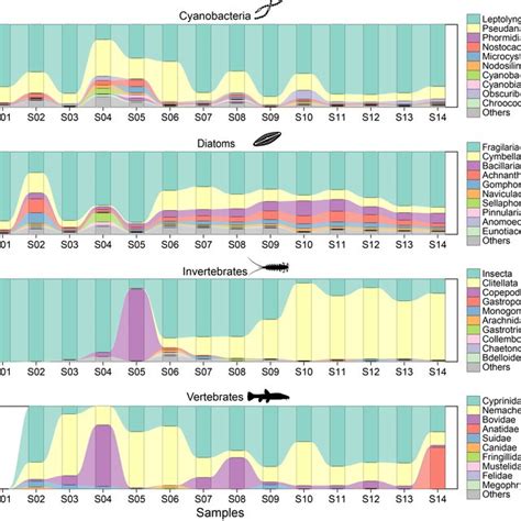 Multi Group Biodiversity Distributions And Drivers Of Metacommunity