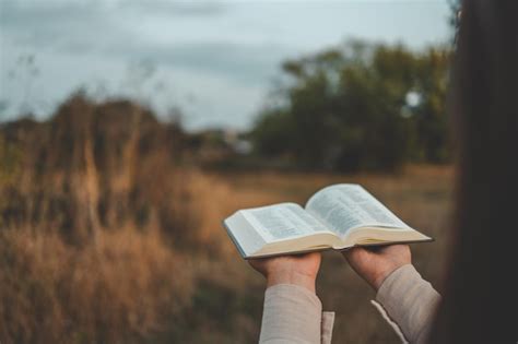 La Biblia En Las Manos En La Naturaleza Concepto Cristiano Foto Premium