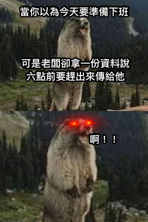 當你以為今天要準備下班 可是老闆卻拿一份資料說六點前要趕出來傳給他 啊