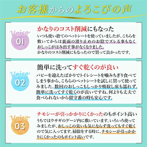 【楽天市場】【今だけ赤字覚悟の2枚セット】洗えるペットシーツ 2枚セット 犬 猫 うさぎ 布 トイレ ワイド ペットマット おしっこシート