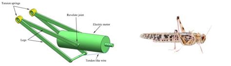 locust inspired robot can jump 11 feet high w video updated
