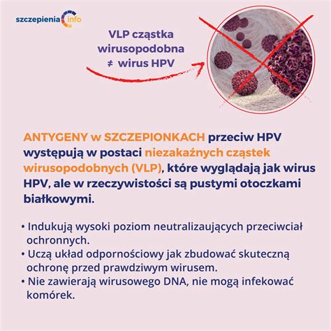Skład I Jakość Szczepionek Przeciw Hpv Szczepieniainfo