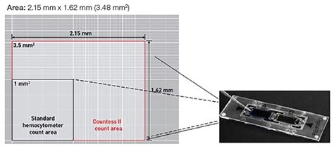 Comparison Of Cell Counting Using Countess Ii Automated Cell Counters Vs Hemocytometers Thermo