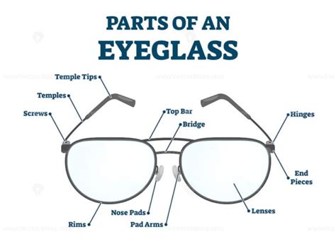 Parts Of Eyeglass With Structural Detailed Labeled Scheme Vector