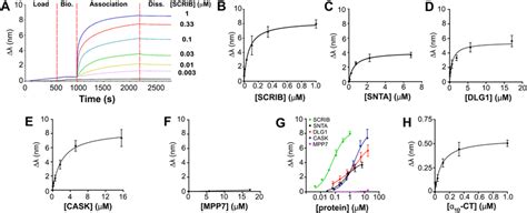 In Situ Affinity Determination Of α 1d Adrenergic Receptor C Terminal Download Scientific