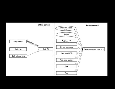 Path Diagram Of Model 3 Numbers In Parentheses Indicate Variables And Download Scientific