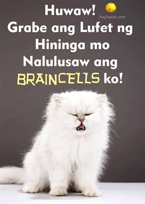 Pamatay Na Banat Sa Mga Mabaho Boy Banat