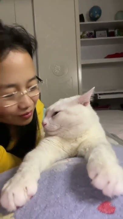他们就是我的乖小孩 我和我的猫 我镜头下的小猫 Youtube