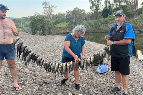 Passionate Pest Fish Busters Taking Out Aggressive