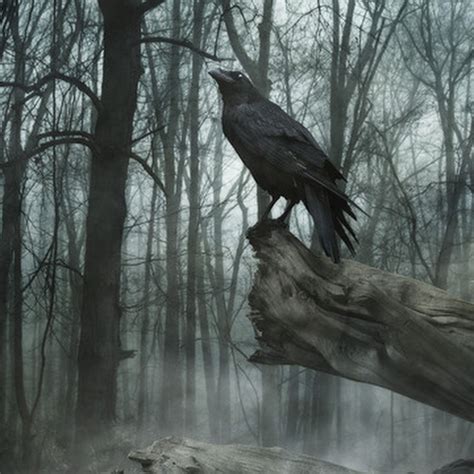 William Harryman Youtube