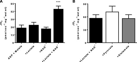 Lactate Is Oxidized Outside Of The Mitochondrial Matrix In Rodent Brain