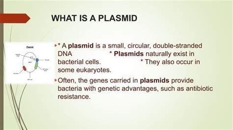Plasmids And Nucleoid Pptx