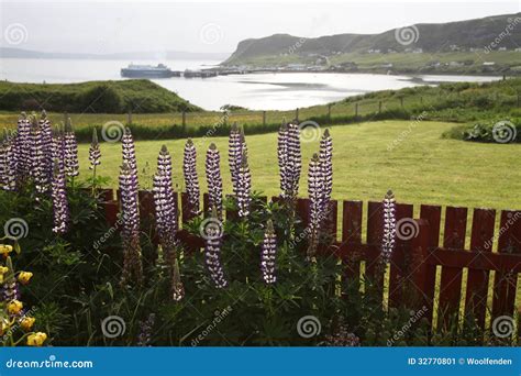 Uig Ferry Terminalskye Stock Image Image Of Scotland 32770801