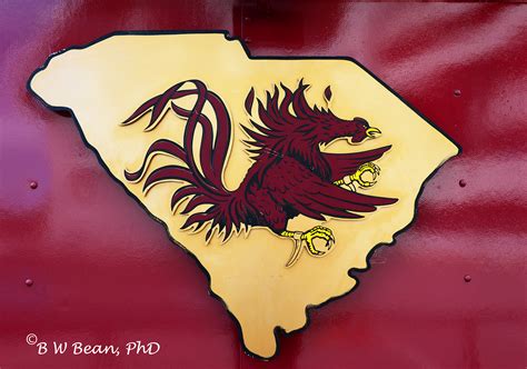🔥 50 South Carolina Gamecock Wallpapers Wallpapersafari