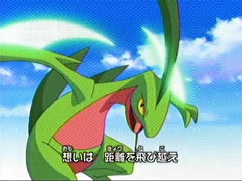 10 Best Grovyle Images On Pinterest Grass Type Pokemon Pokemon
